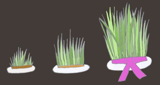 Celebrating 13 Days of Norooz – NIAC